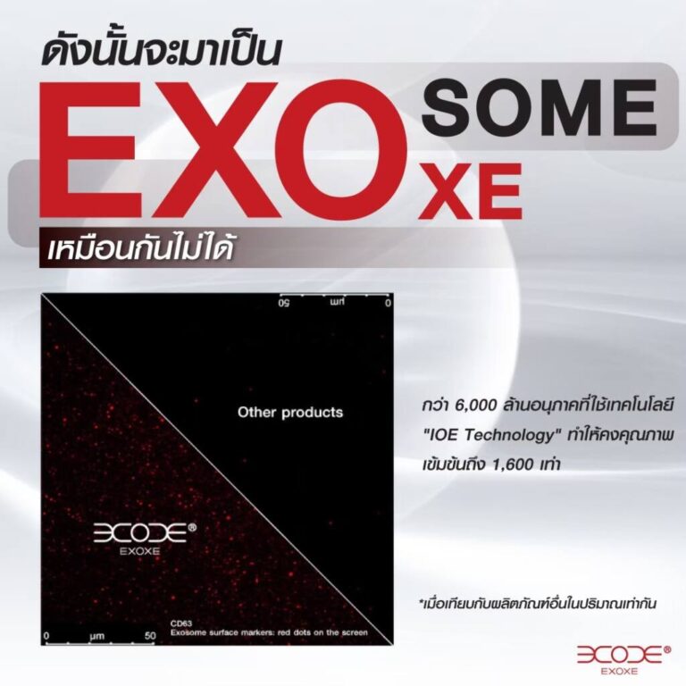 EXOXE NEW STANDARD OF SKIN REGENERATION