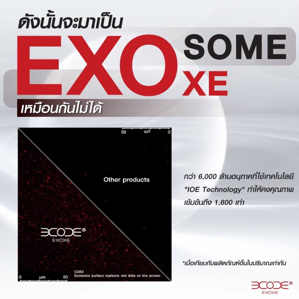 EXOXE NEW STANDARD OF SKIN REGENERATION